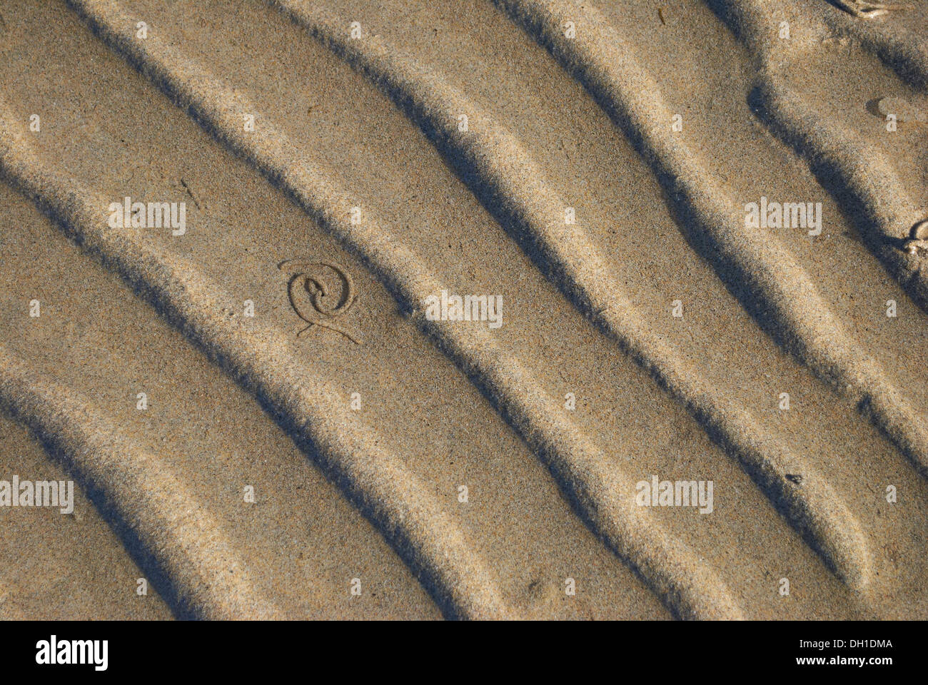 Abstract Tide pattern in sand St Ives Stock Photo - Alamy