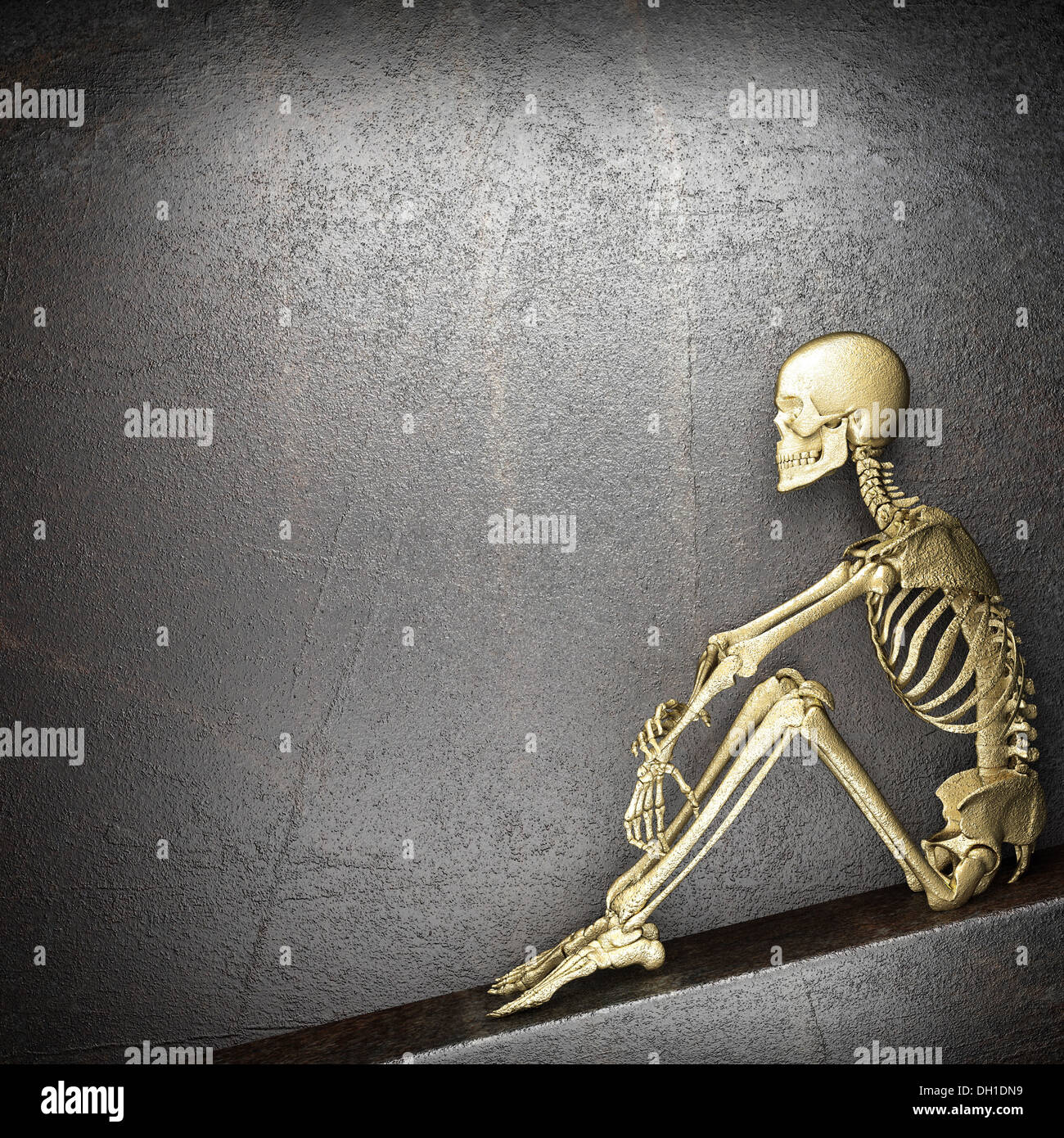 Light alloy skeleton hi-res stock photography and images - Alamy