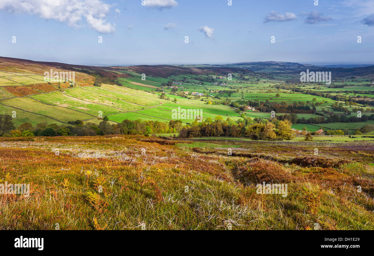 York dale hi-res stock photography and images - Alamy