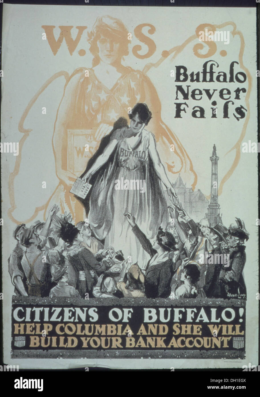 She buffalo hi-res stock photography and images - Alamy