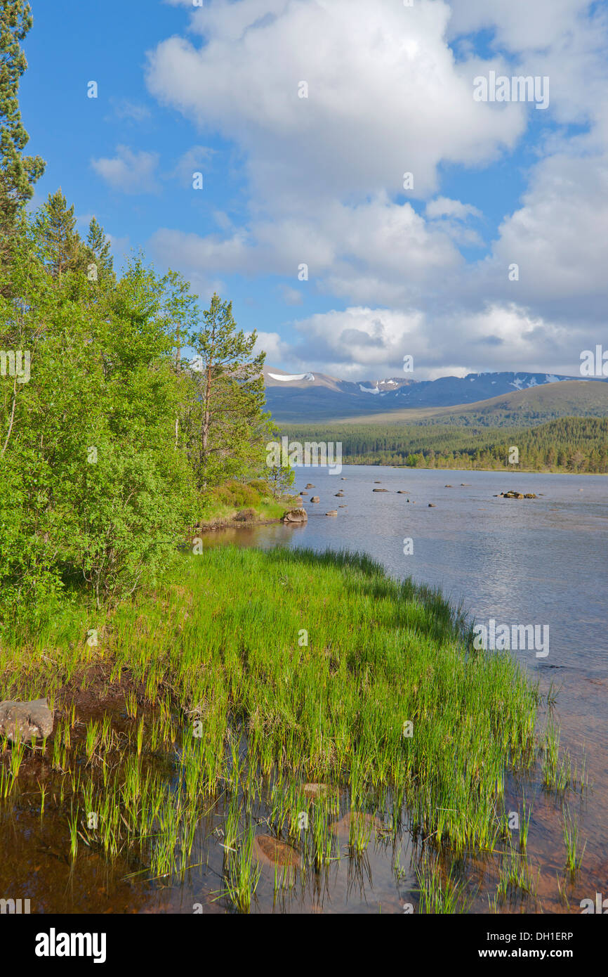 Loch Morlich, Aviemore, Highland, Scotland, UK Stock Photo - Alamy