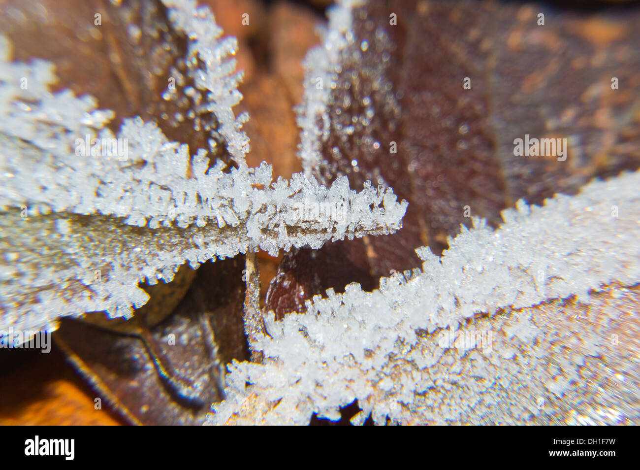 Frost patterns hi-res stock photography and images - Alamy