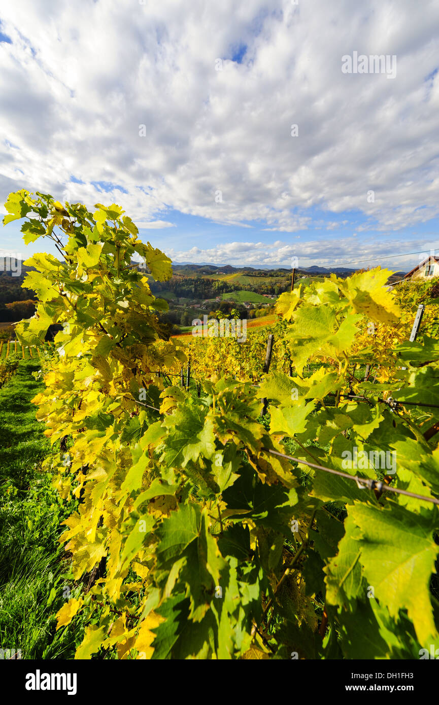 Suedsteirische Weinstrasse, Southern Styria wine route in autumn ...