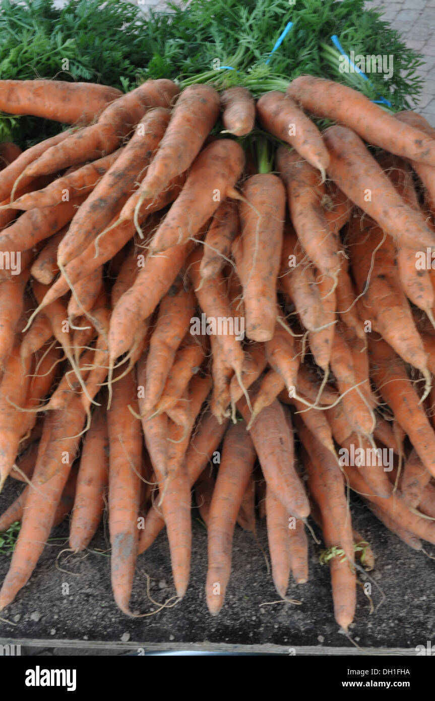 Raw carrots in a market in Ireland Stock Photo - Alamy