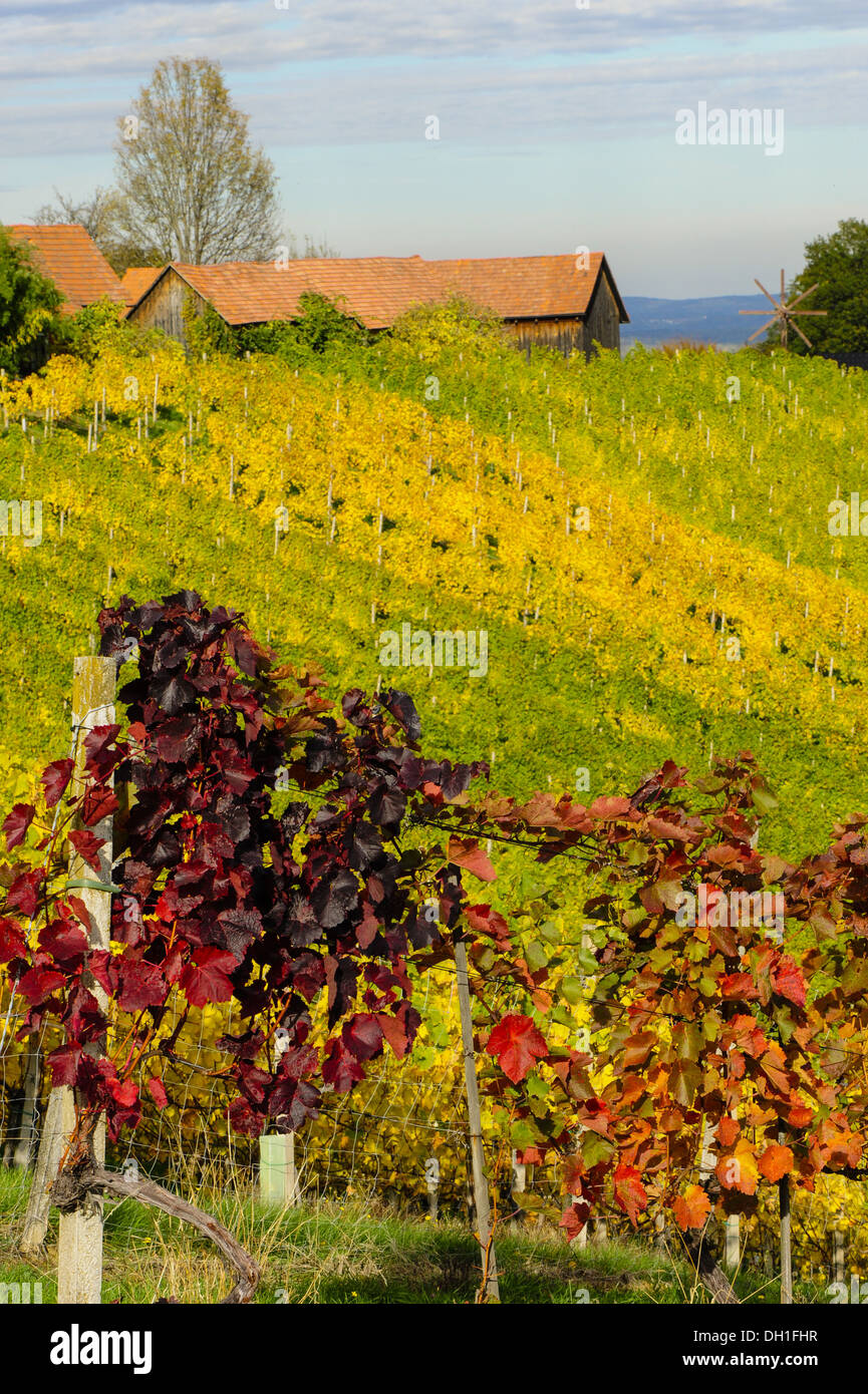 Suedsteirische Weinstrasse, Southern Styria wine route in autumn ...