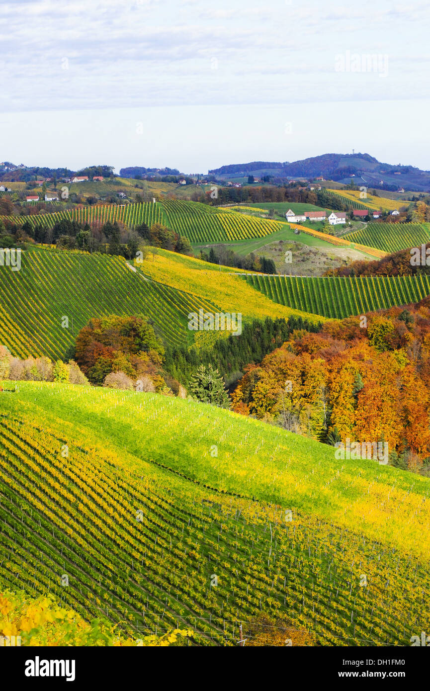 Suedsteirische Weinstrasse, Southern Styria wine route in autumn ...