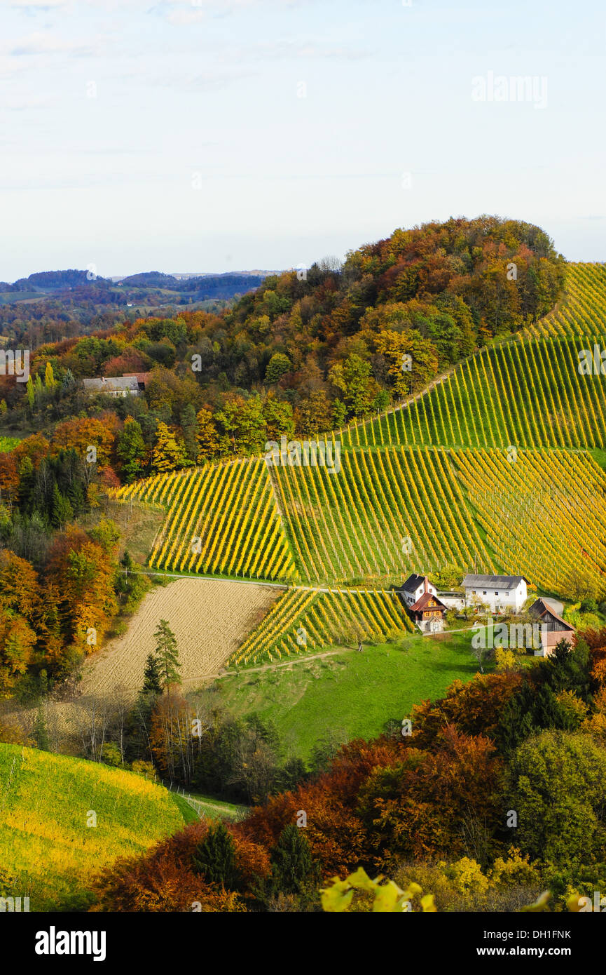 Suedsteirische Weinstrasse, Southern Styria wine route in autumn ...