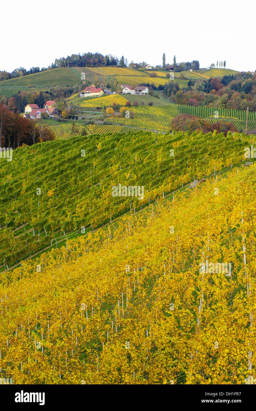 Suedsteirische Weinstrasse, Southern Styria wine route in autumn ...