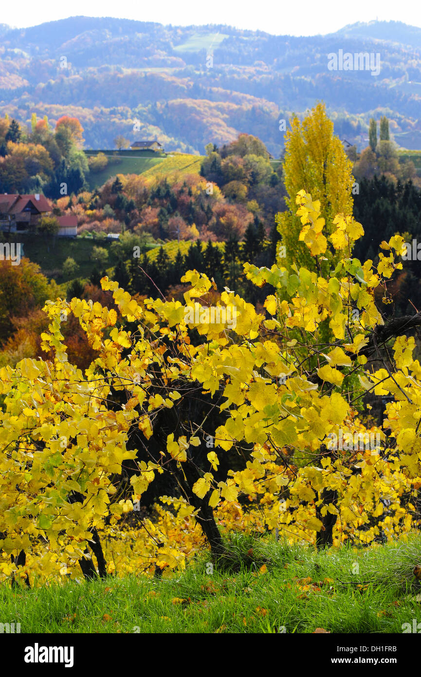 Suedsteirische Weinstrasse, Southern Styria wine route in autumn ...