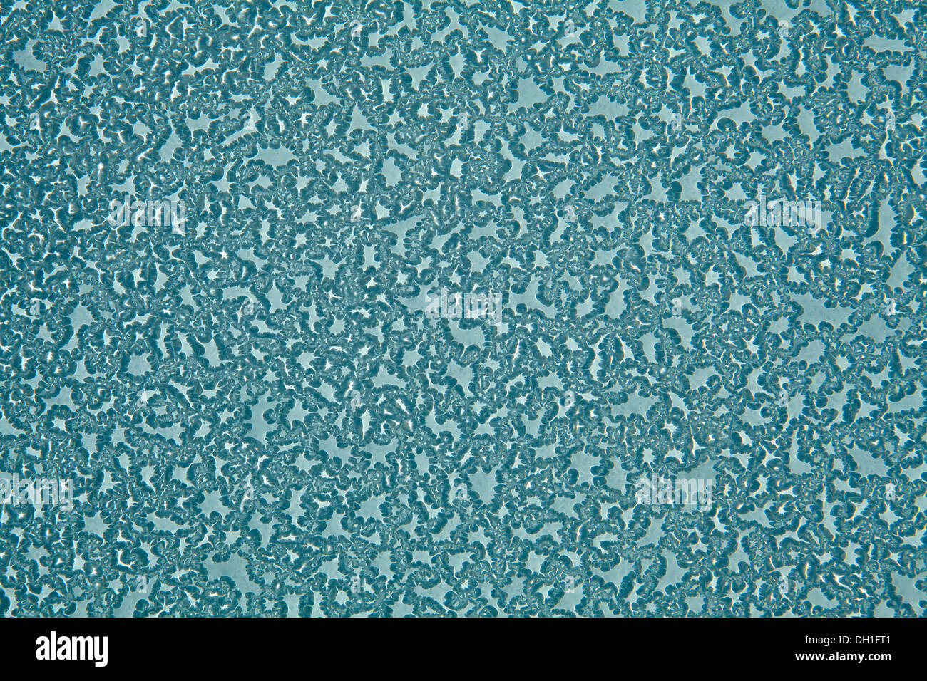 Condensation texture hi-res stock photography and images - Alamy