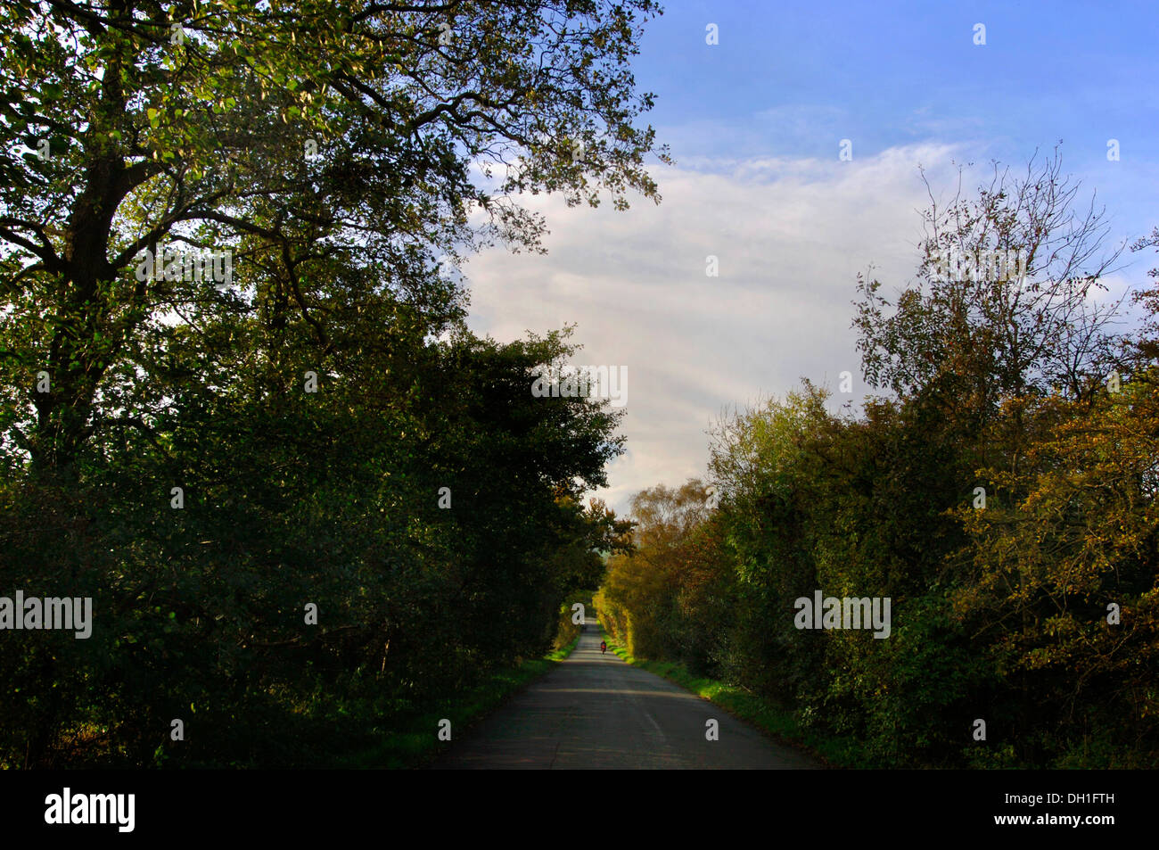 A Country Road Scene, On The Staffordshire Moorlands Stock Photo - Alamy