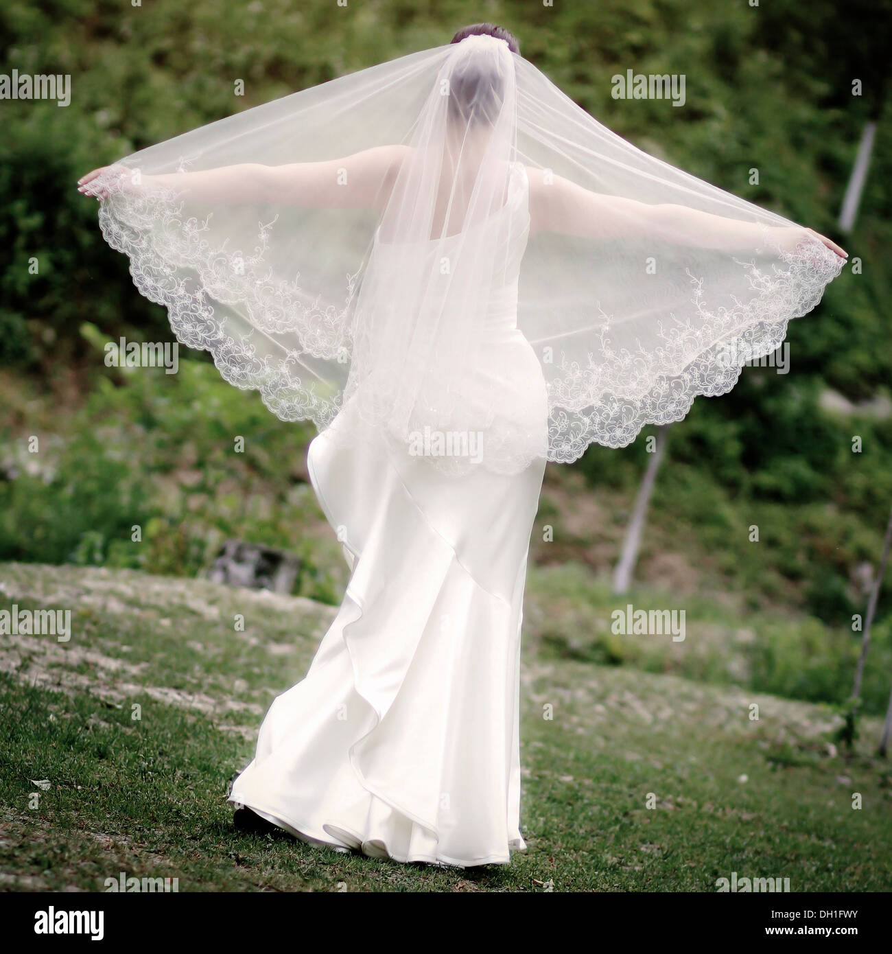 Bride in wedding dress with veil, rear view, Zagreb, Croatia Stock ...