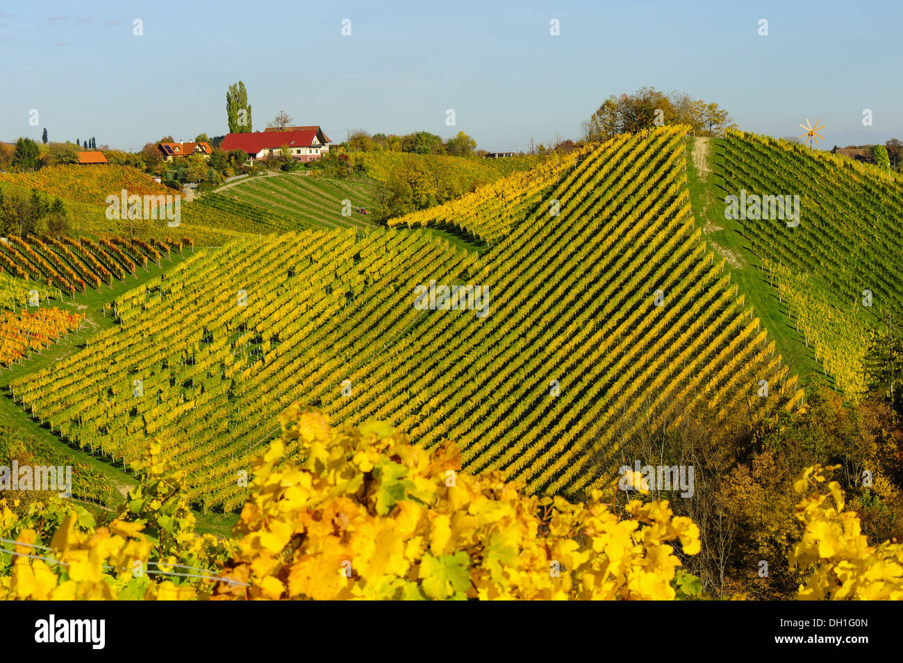 Suedsteirische Weinstrasse, Southern Styria wine route in autumn ...