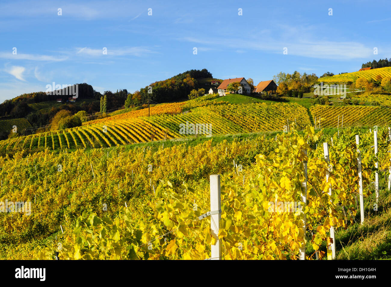 Suedsteirische Weinstrasse, Southern Styria wine route in autumn ...