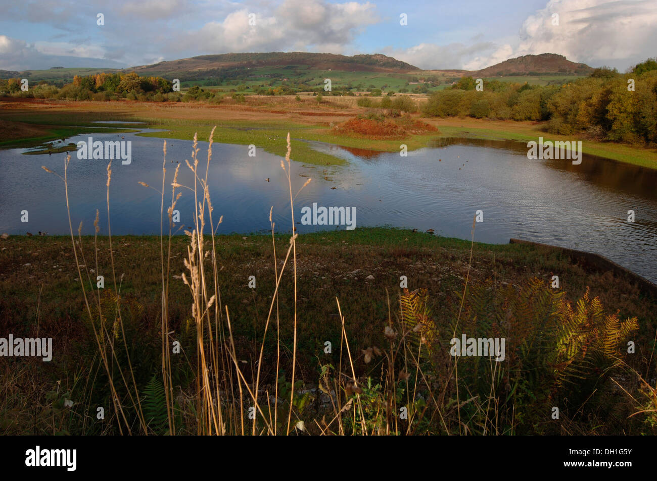 Low water levels lake hi-res stock photography and images - Alamy