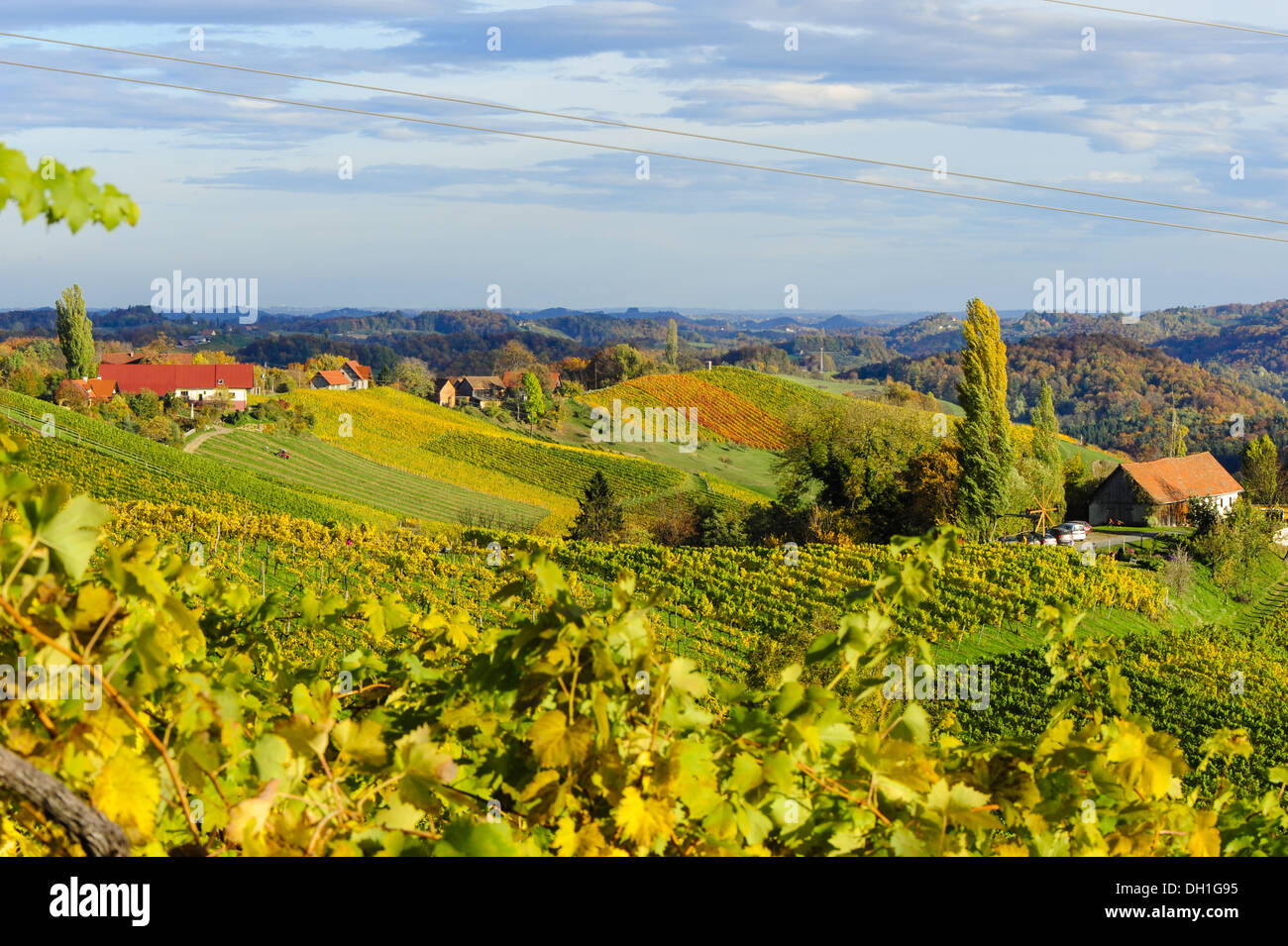 Suedsteirische Weinstrasse, Southern Styria wine route in autumn ...