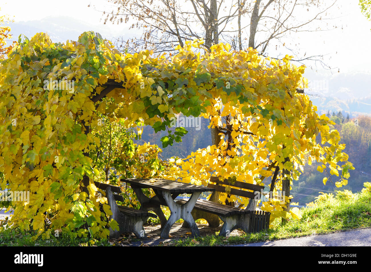 Suedsteirische Weinstrasse, Southern Styria wine route in autumn ...