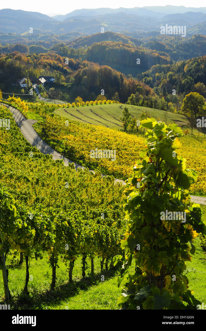 Suedsteirische Weinstrasse, Southern Styria wine route in autumn ...