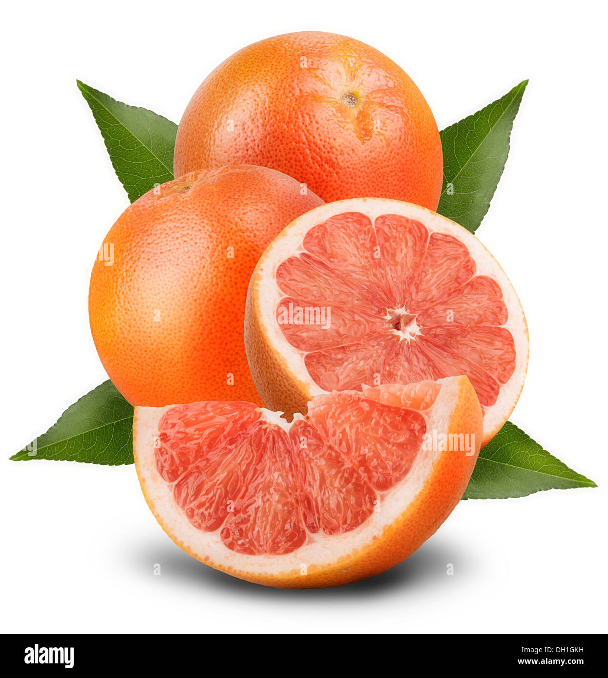 Cross section grapefruit Cut Out Stock Images & Pictures - Alamy
