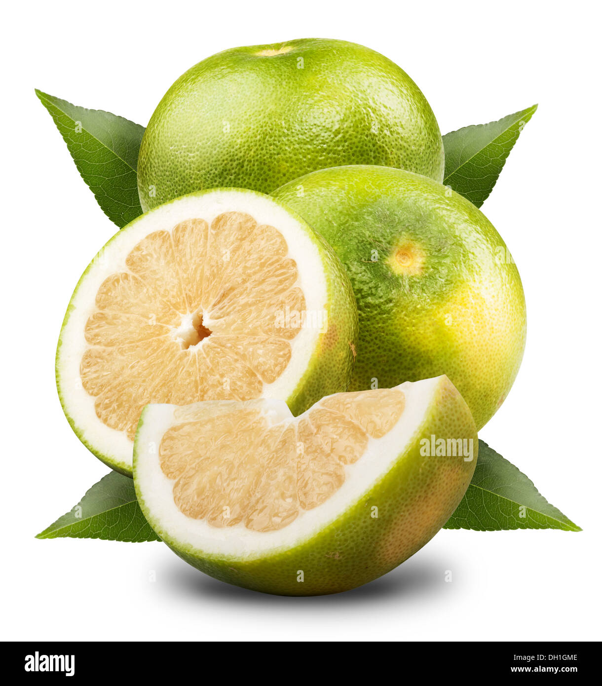 Cross section grapefruit Cut Out Stock Images & Pictures - Alamy