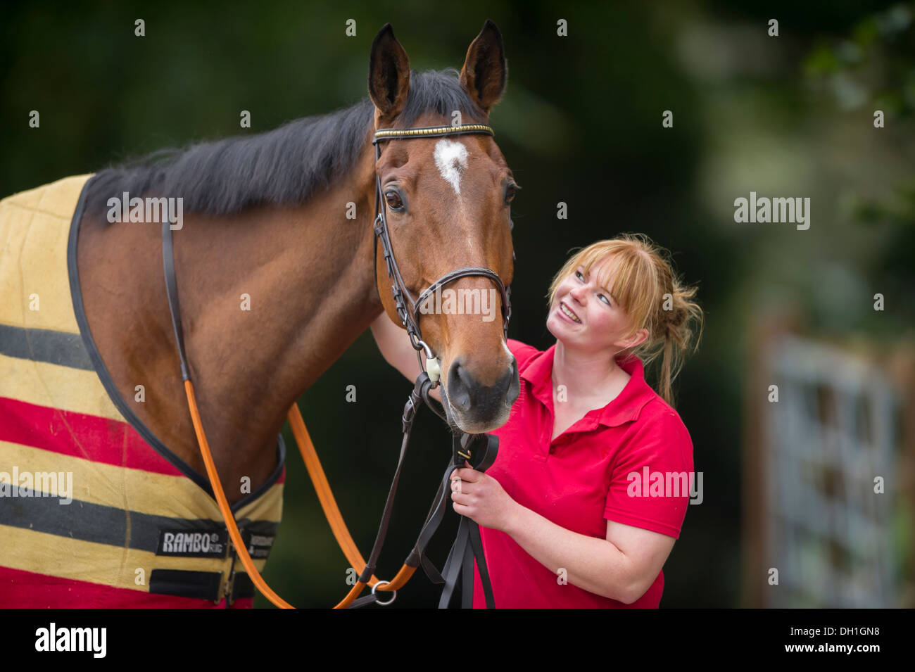 Trainer Stables Stable High Resolution Stock Photography and Images - Alamy
