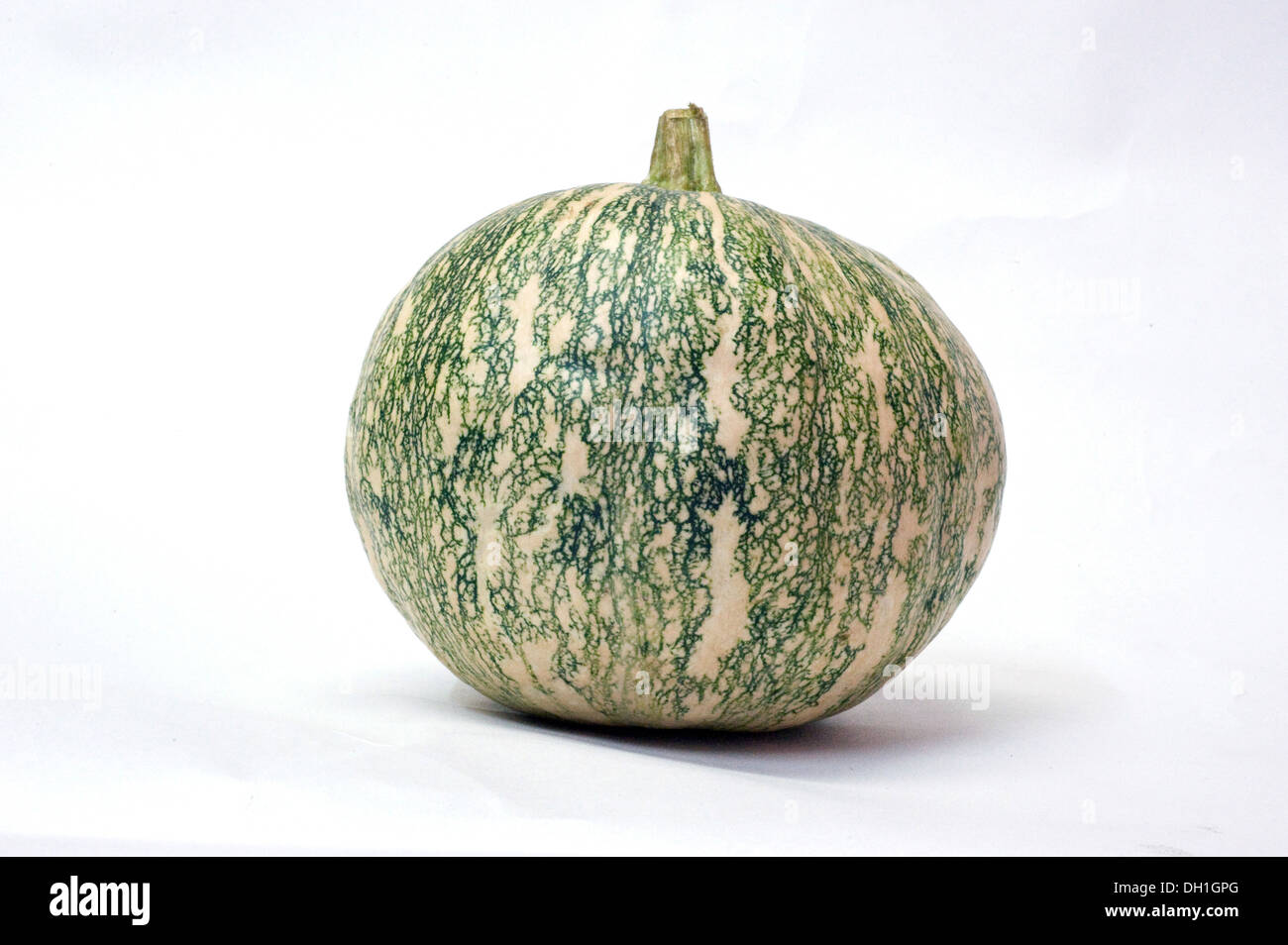 one pumpkin on white background Stock Photo - Alamy