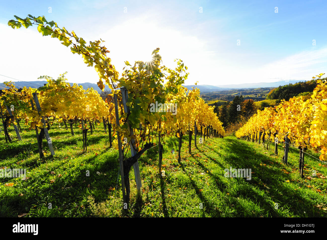 Suedsteirische Weinstrasse, Southern Styria wine route in autumn ...