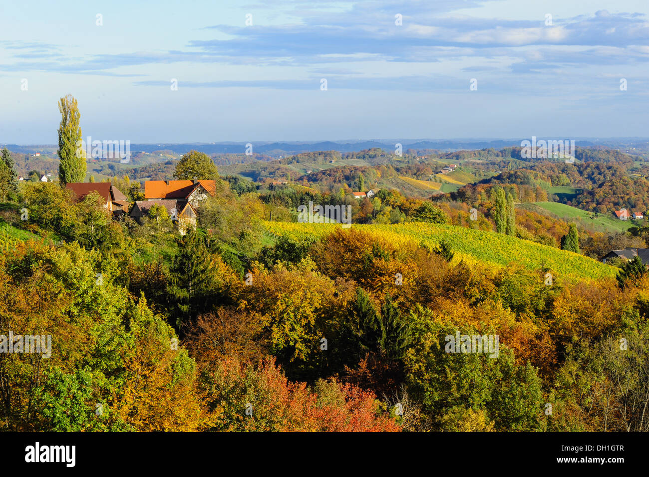 Suedsteirische Weinstrasse, Southern Styria wine route in autumn ...