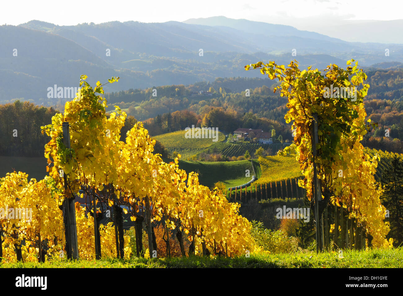 Suedsteirische hi-res stock photography and images - Alamy