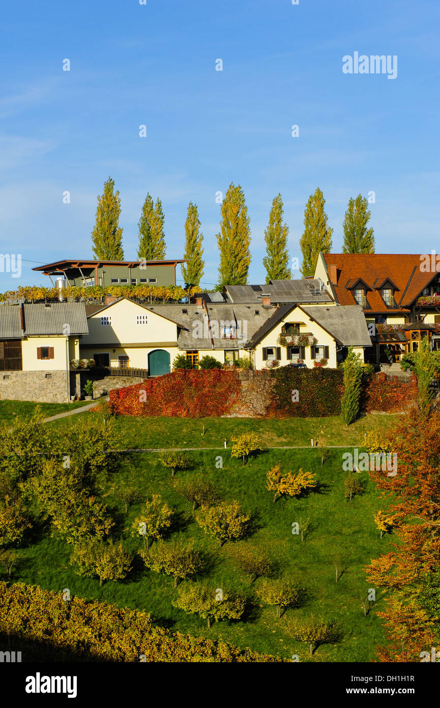 Suedsteirische Weinstrasse, Southern Styria wine route in autumn ...