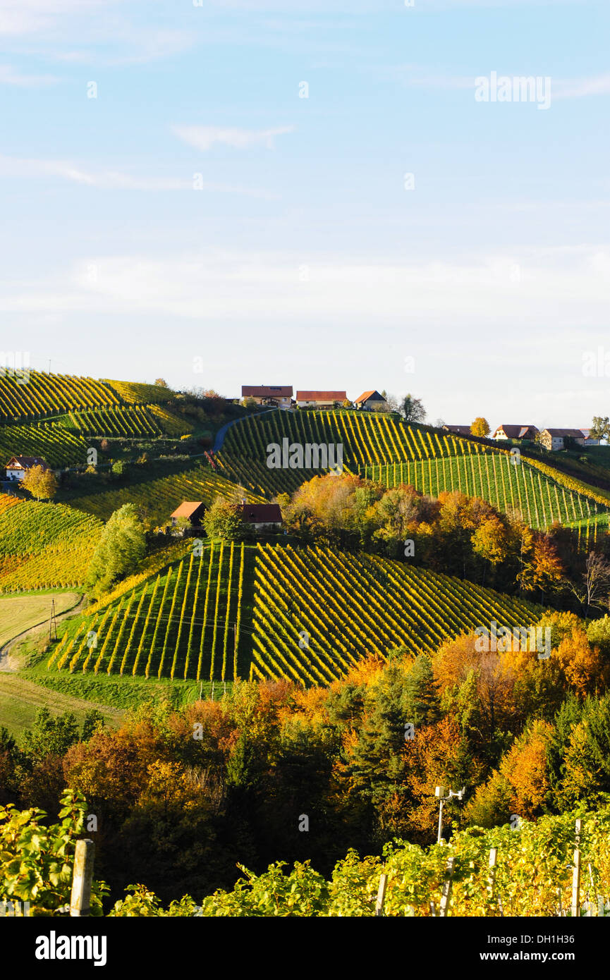 Suedsteirische Weinstrasse, Southern Styria wine route in autumn ...