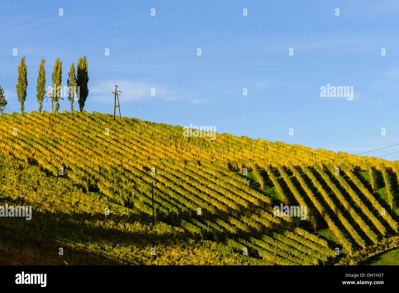 Suedsteirische Weinstrasse, Southern Styria wine route in autumn ...