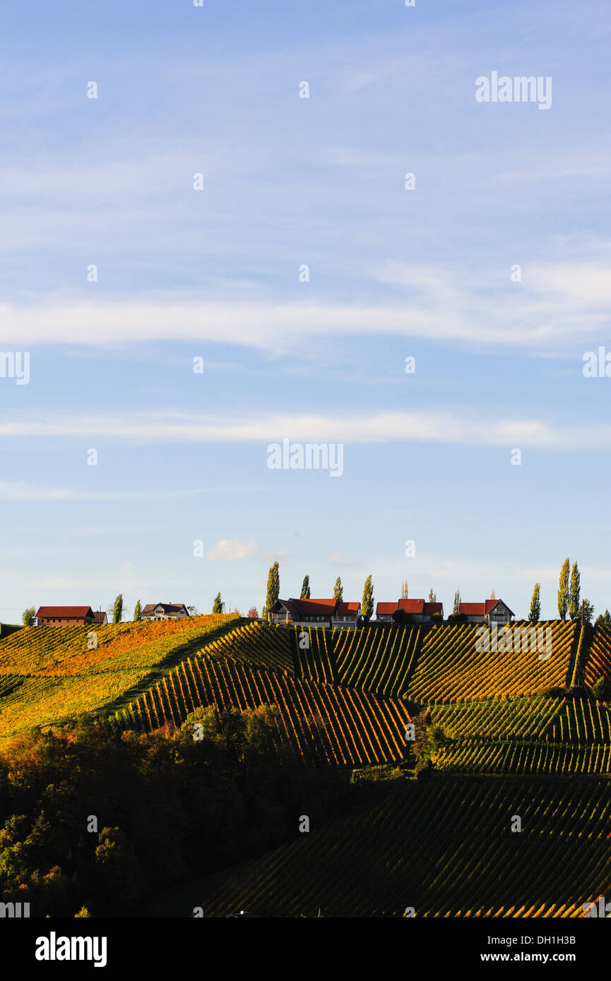 Suedsteirische Weinstrasse, Southern Styria wine route in autumn ...