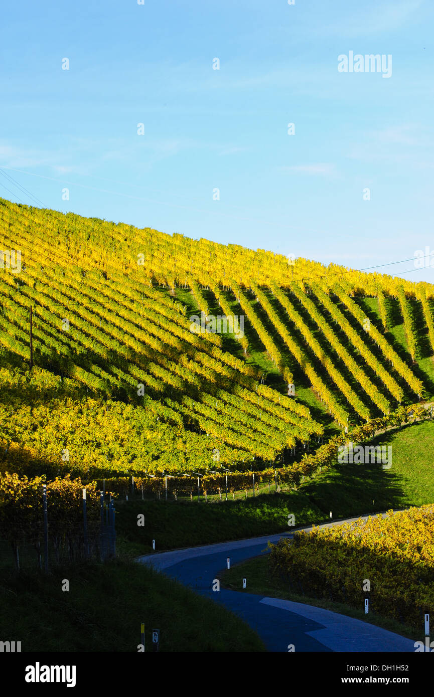 Suedsteirische Weinstrasse, Southern Styria wine route in autumn ...