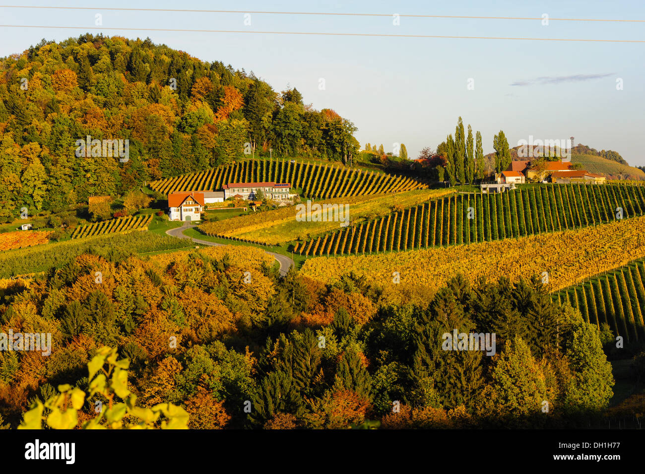 Suedsteirische Weinstrasse, Southern Styria wine route in autumn ...