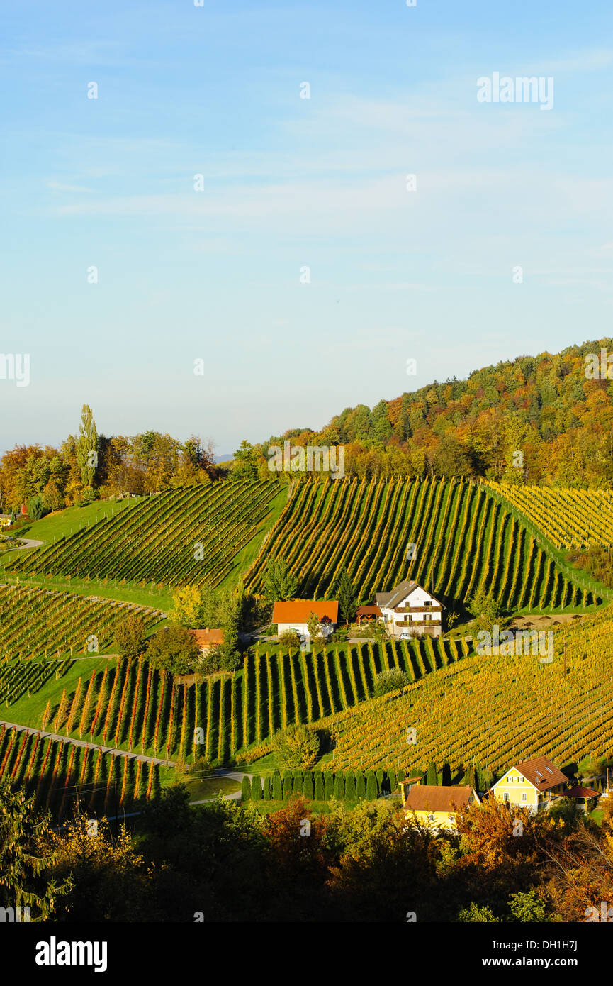 Suedsteirische Weinstrasse, Southern Styria wine route in autumn ...