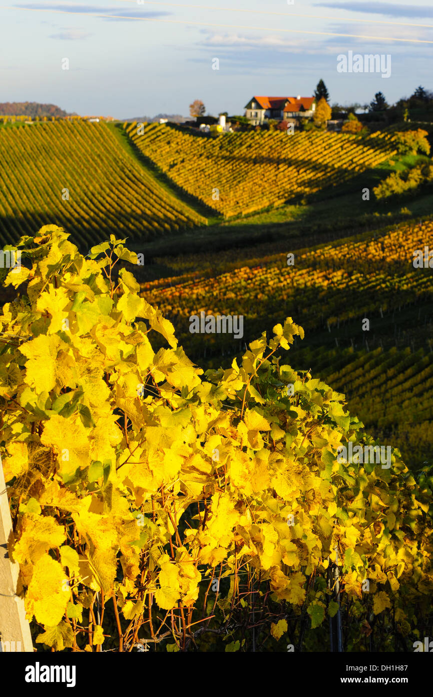Suedsteirische Weinstrasse, Southern Styria wine route in autumn ...