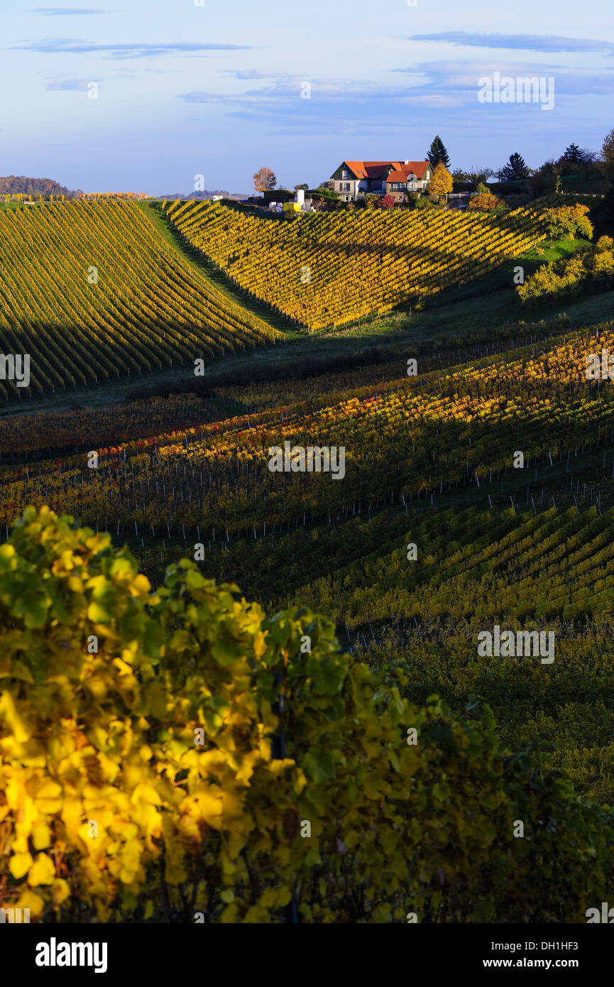 Suedsteirische Weinstrasse, Southern Styria wine route in autumn ...