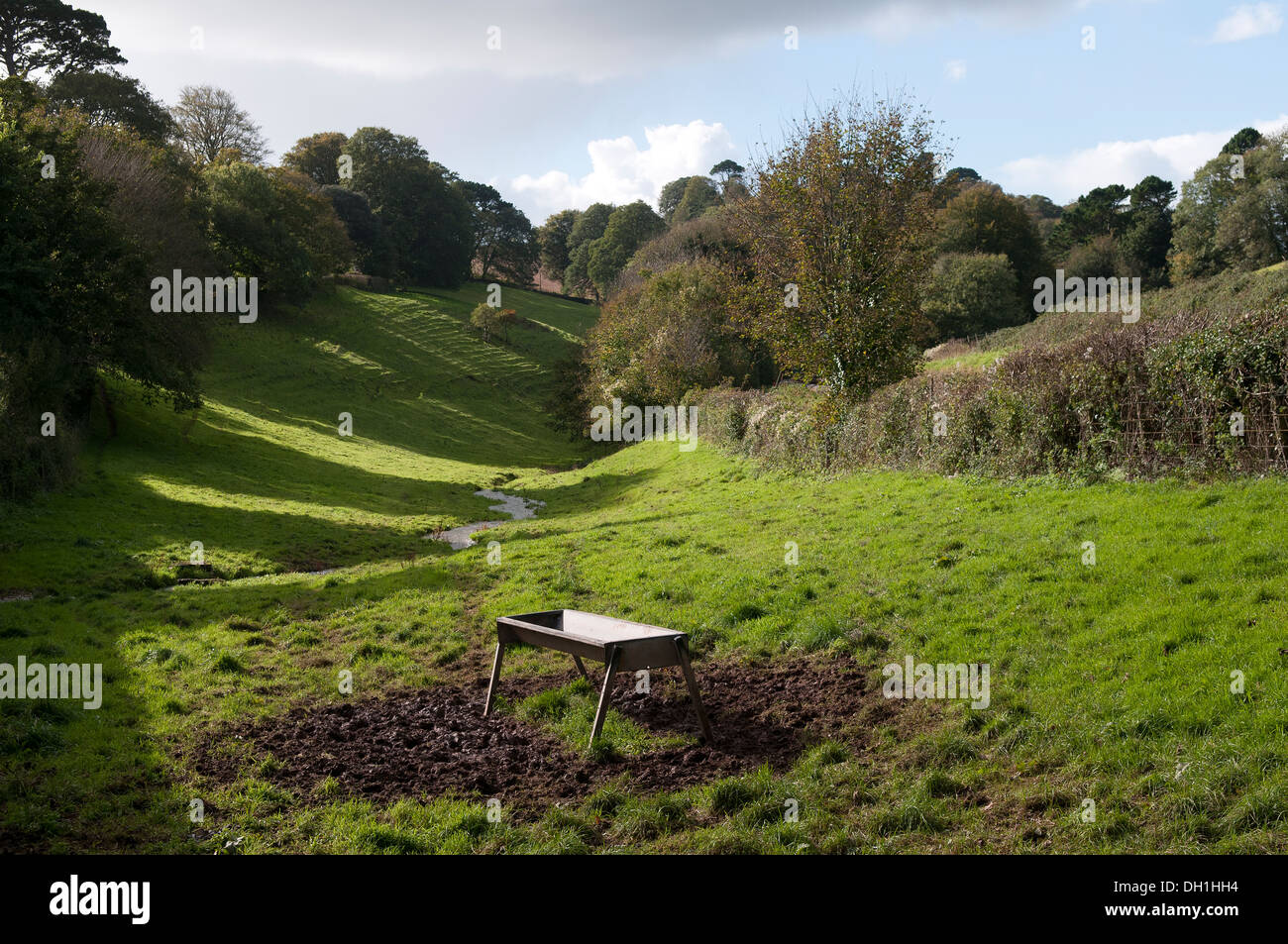 animal trough in field in the south hams,devon,cow, water, drinking ...