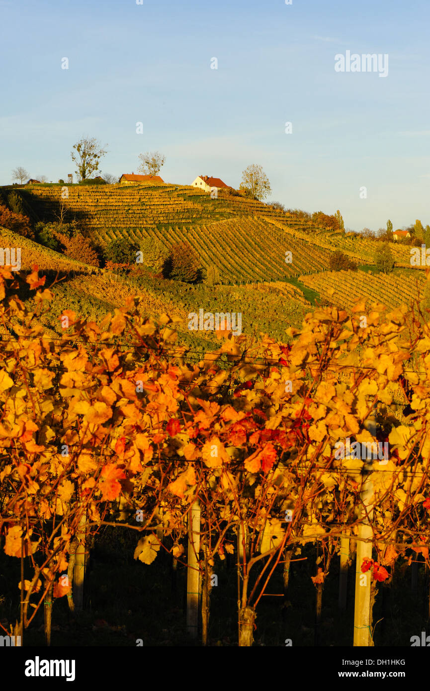 Suedsteirische Weinstrasse, Southern Styria wine route in autumn ...