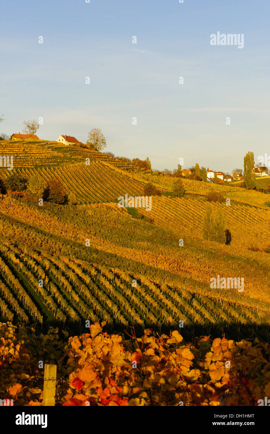 Suedsteirische Weinstrasse, Southern Styria wine route in autumn ...