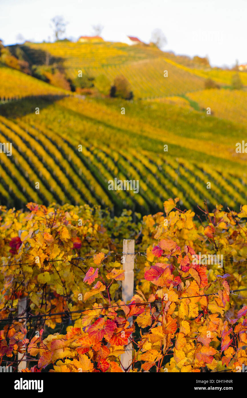 Suedsteirische Weinstrasse, Southern Styria wine route in autumn ...