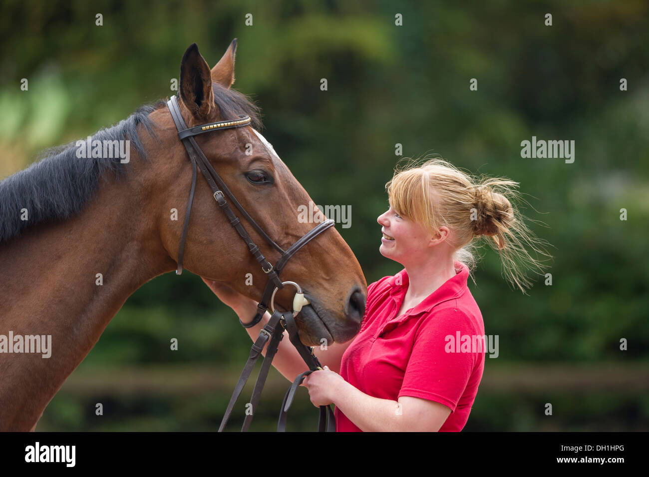 Ex racehorses hi-res stock photography and images - Alamy
