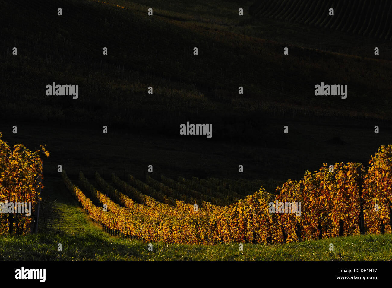 Suedsteirische Weinstrasse, Southern Styria wine route in autumn ...