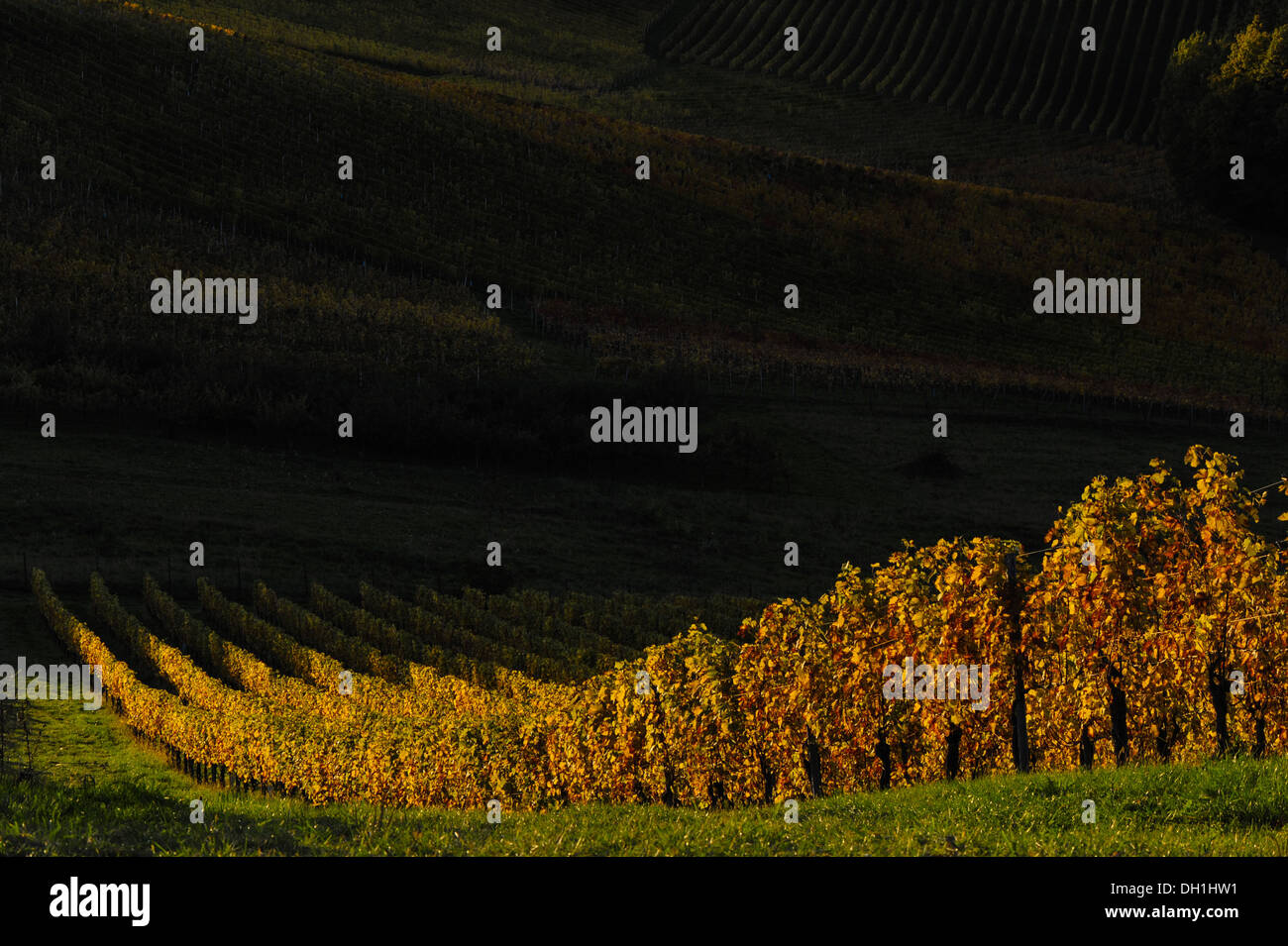 Suedsteirische Weinstrasse, Southern Styria wine route in autumn ...