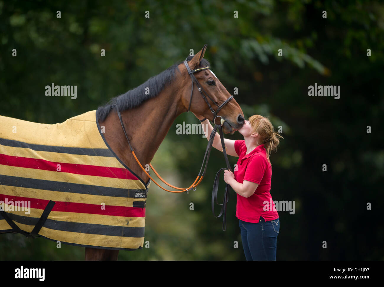 Racehorse and trainer High Resolution Stock Photography and Images - Alamy
