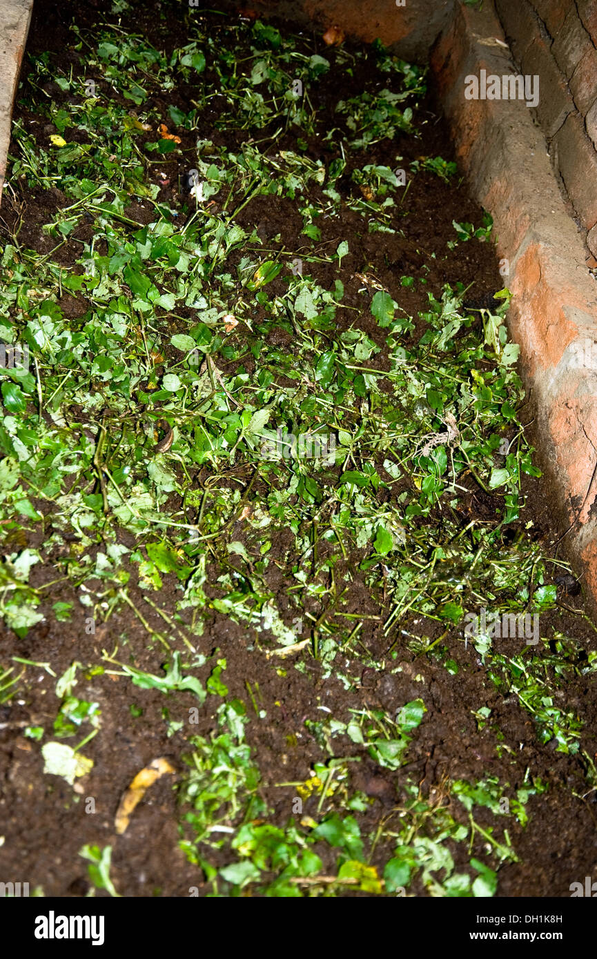 Vermi Compost in village of uttar pradesh India Asia Stock Photo - Alamy