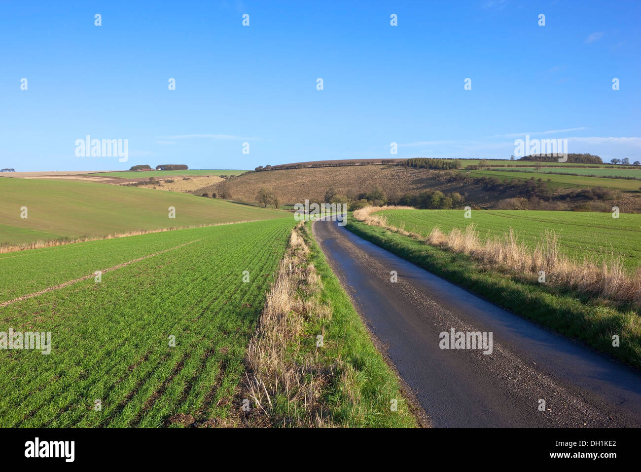 A scenic country road running through rolling autumn agricultural ...
