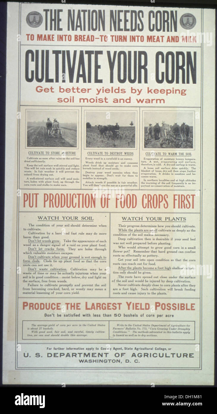 This message urges the nation to prioritize corn cultivation ...