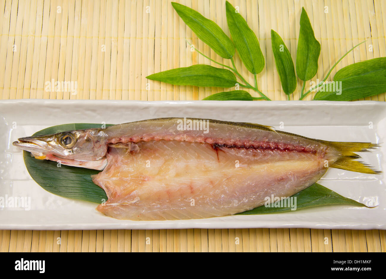 Japanese barracuda hi-res stock photography and images - Alamy
